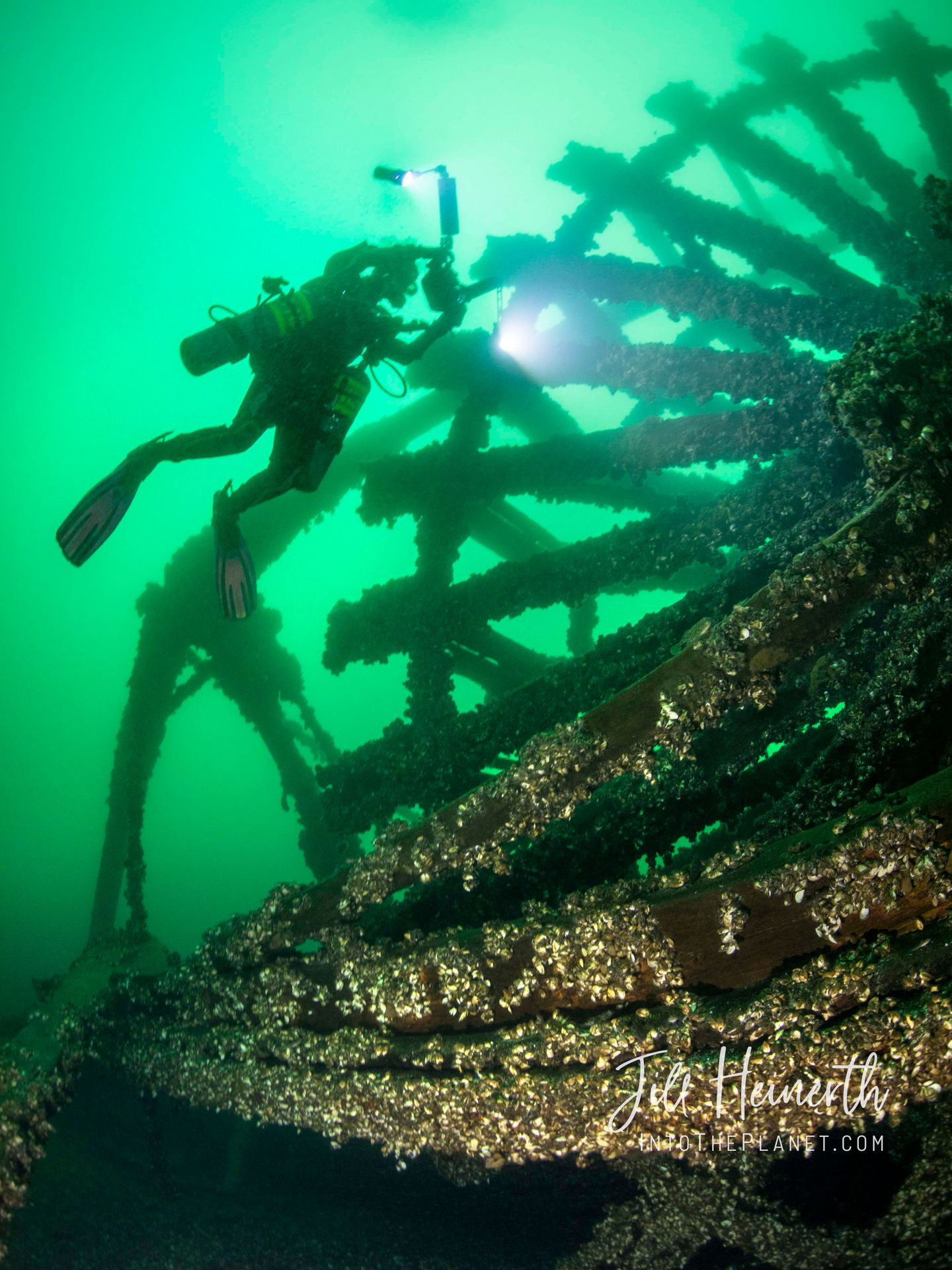 Kayla Martin – Shipwrecks 2022 – Shipwrecks