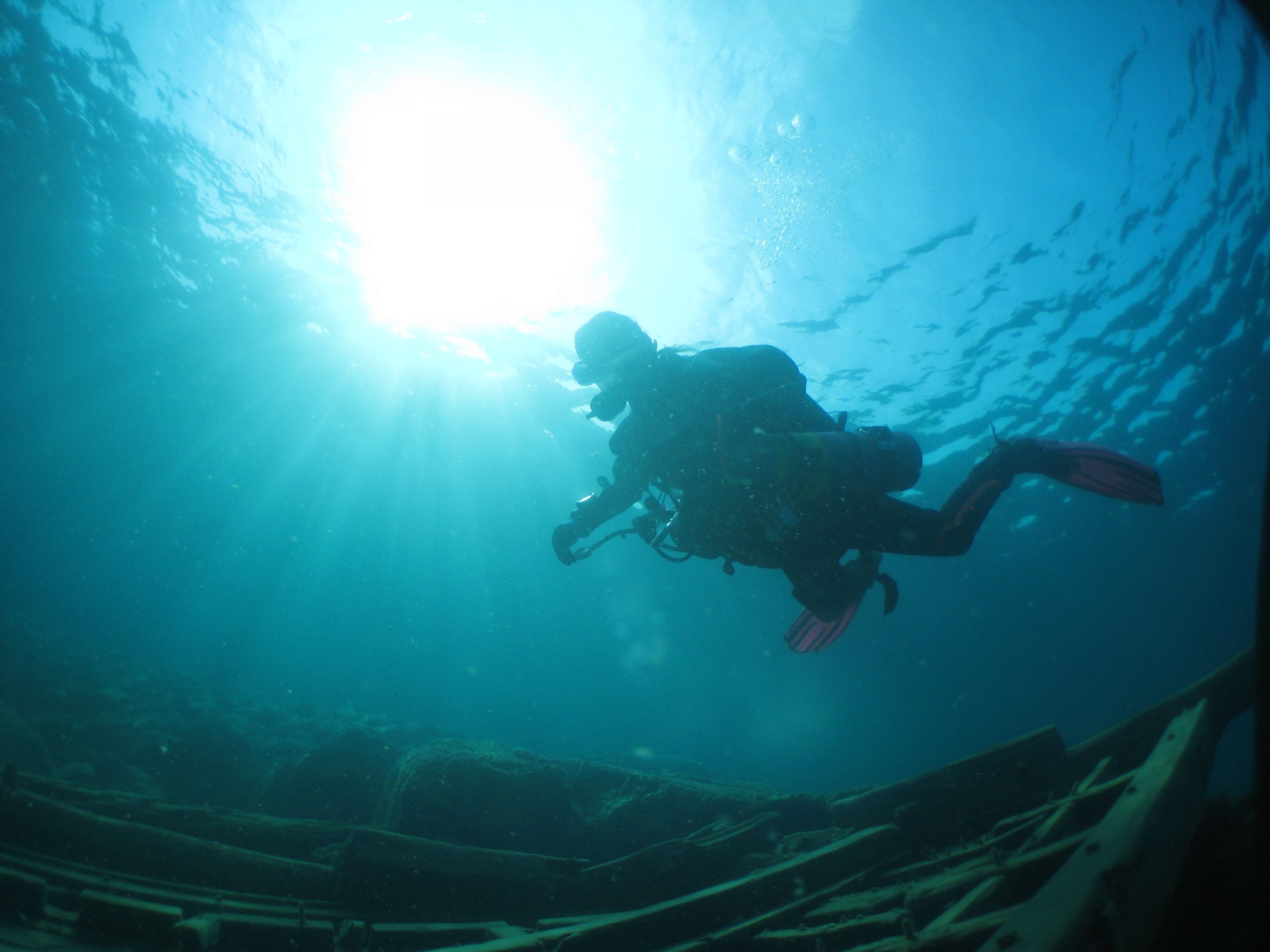 Kayla Martin – Shipwrecks 2022 – Shipwrecks