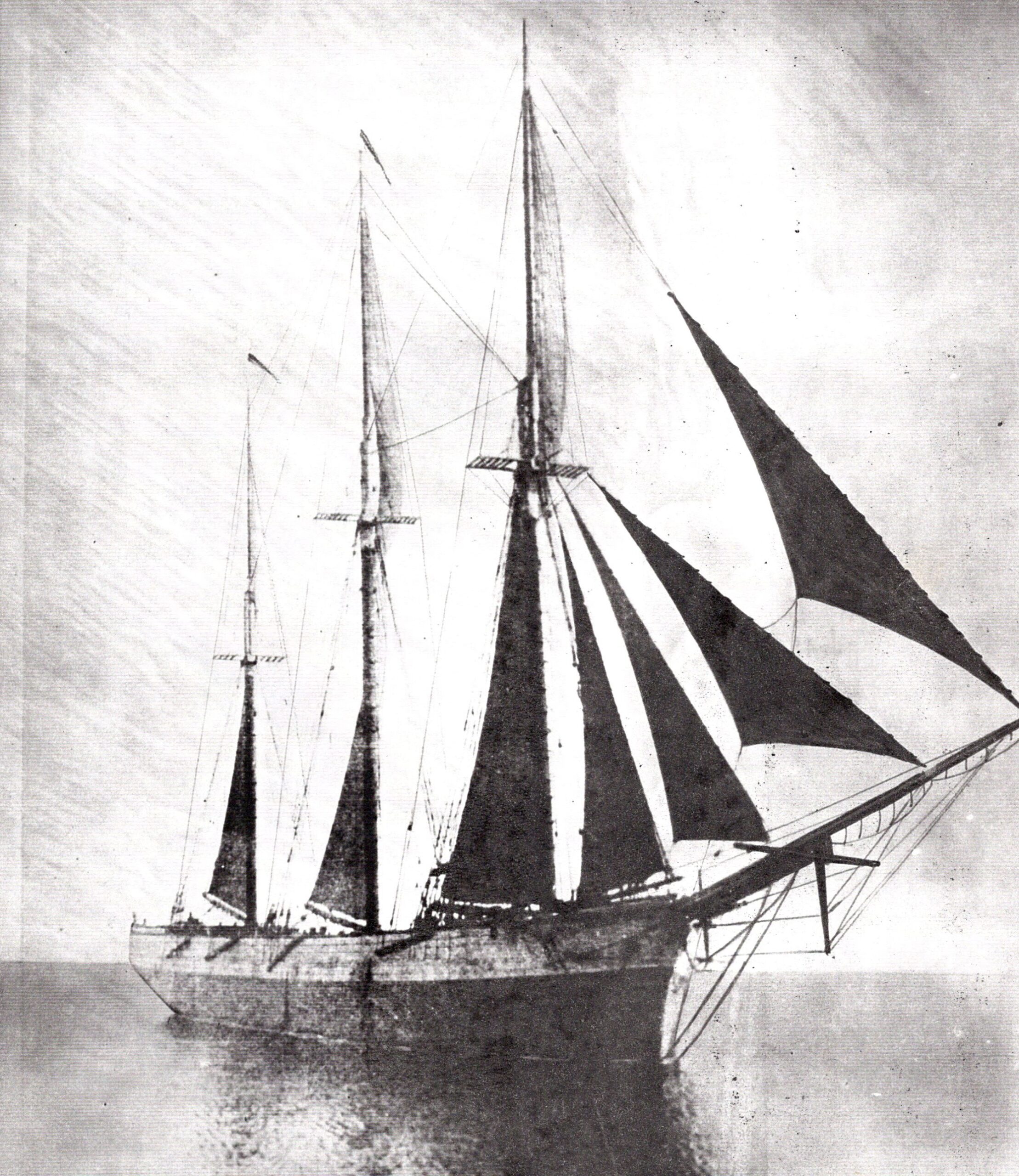Kayla Martin – Shipwrecks 2024 – Shipwrecks